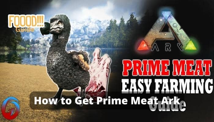 How To Get Prime Meat Ark A Step By Step Guide Food Guide Pro how-to-get-prime-meat-ark-a-step-by-step-guide-food-guide-pro